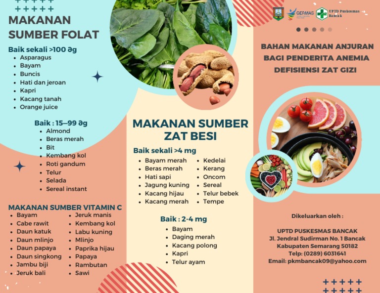 Leaflet Anemia Defisiensi Zat Gizi | PDF
