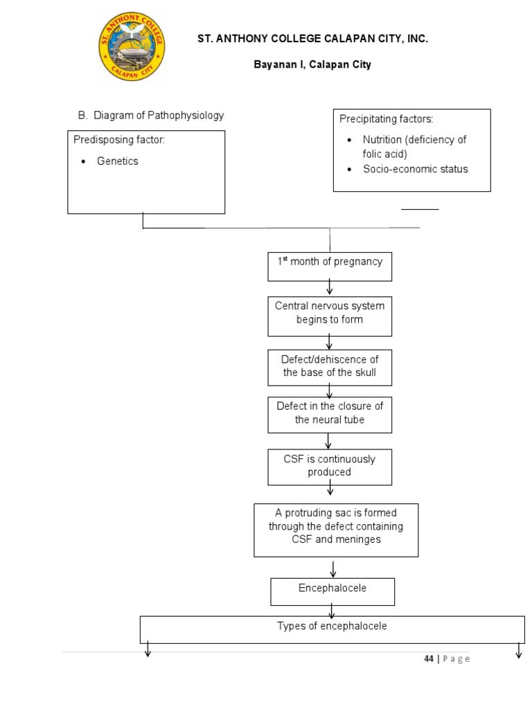 Diagram of Pathophysiology PART 3 | PDF | Cerebrospinal Fluid | Causes ...
