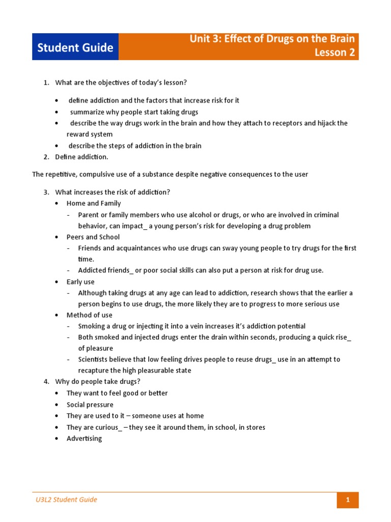 U3L2 Student Guide | PDF | Adolescence | Reward System