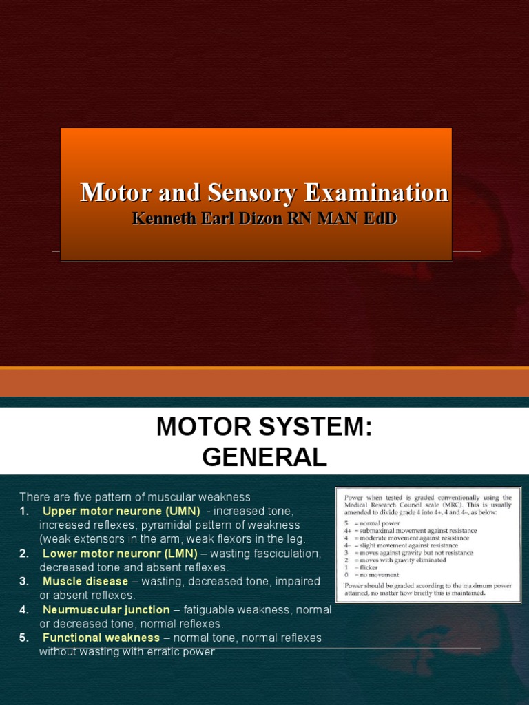 Motor Examination | PDF | Anatomical Terms Of Motion | Foot