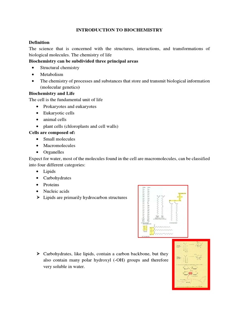 Introduction to Biochemistry Concepts | PDF | Carbohydrates | Glucose