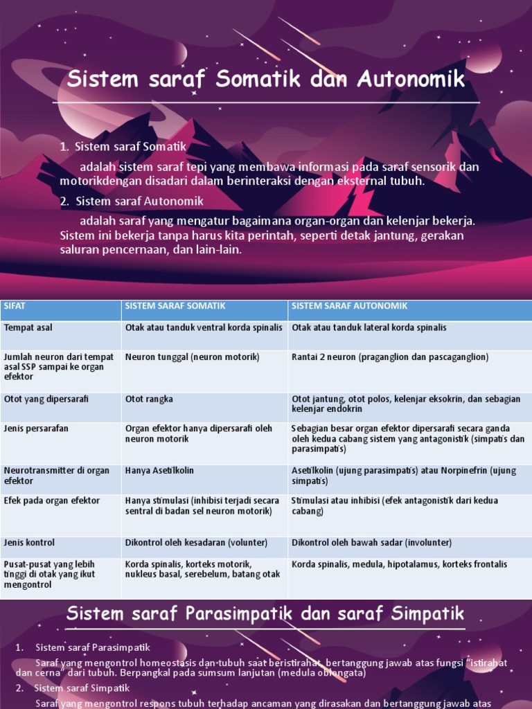 Sistem Saraf Somatik Dan Autonomik | PDF
