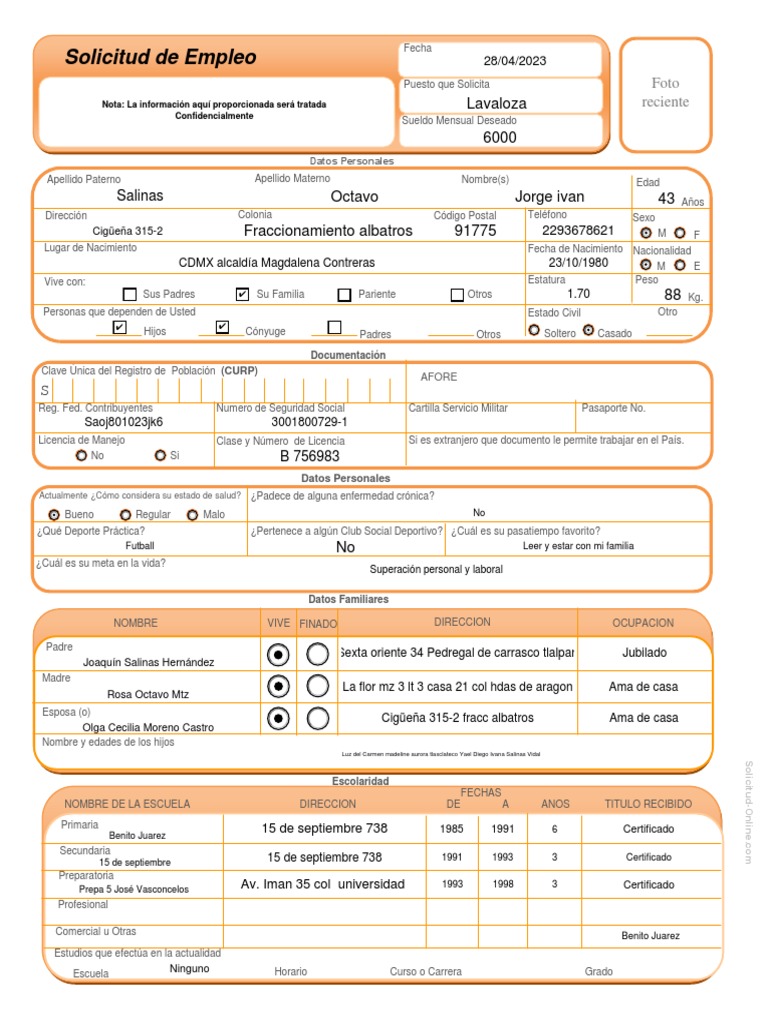 Solicitud de Empleo Bonita Editable PC | PDF
