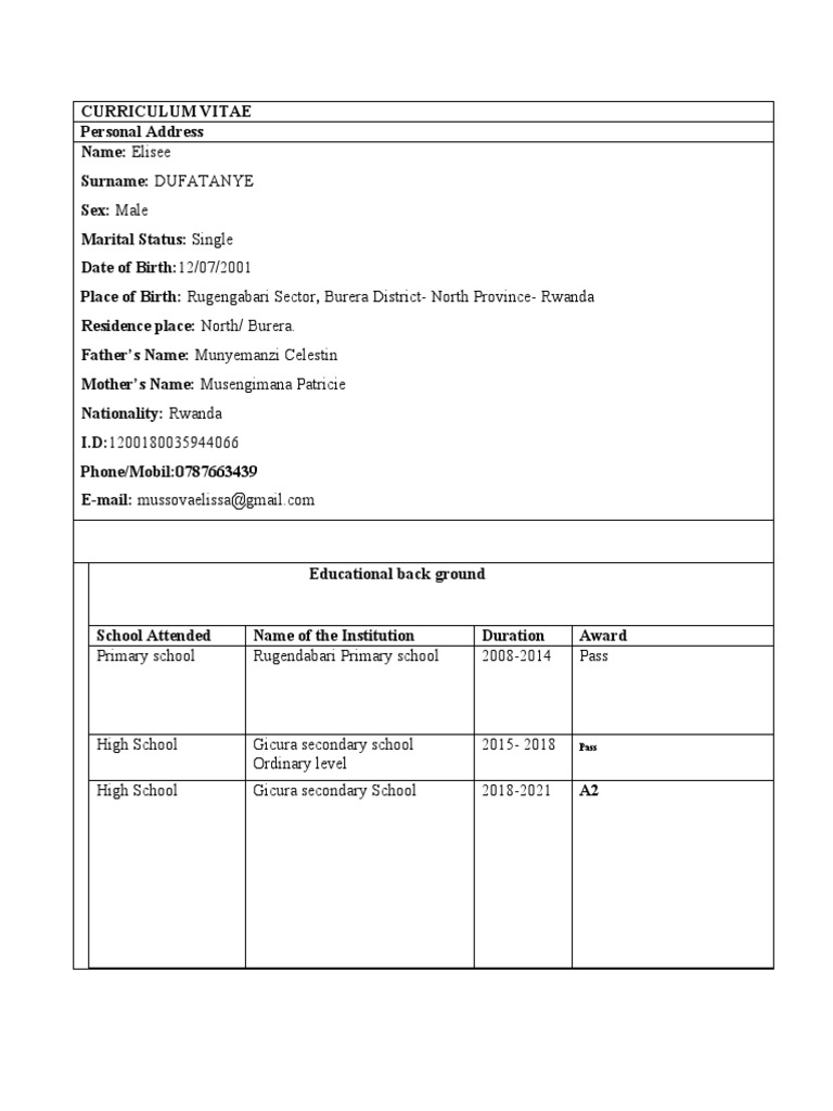 Curriculum Vit Mussova | PDF