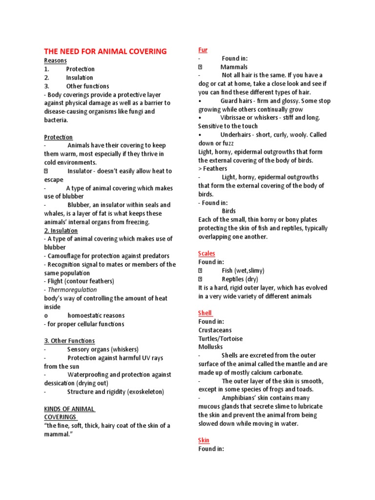 The Varied Functions and Types of Animal Coverings: A Comprehensive ...