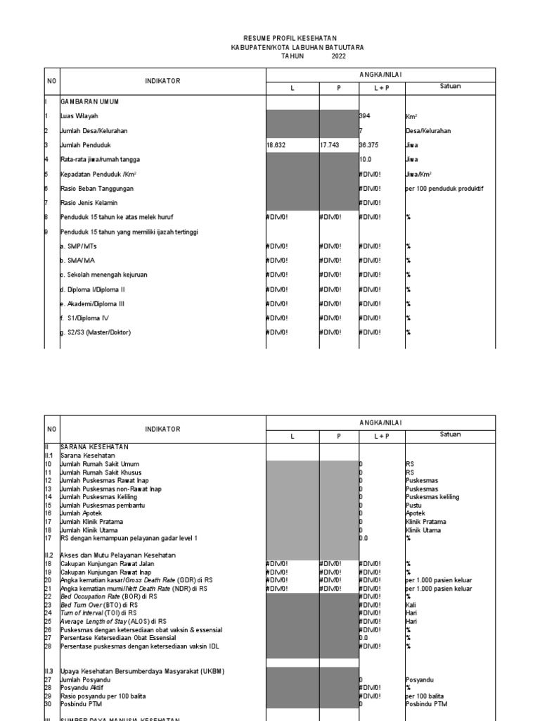Laporan Puskesmas | PDF