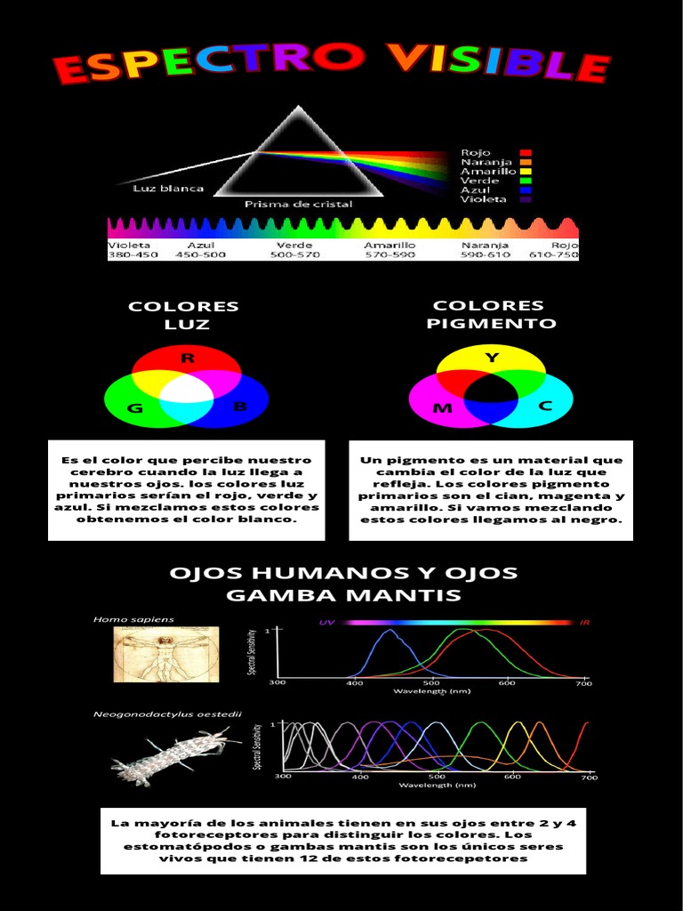 Espectro de Luz Visible | PDF