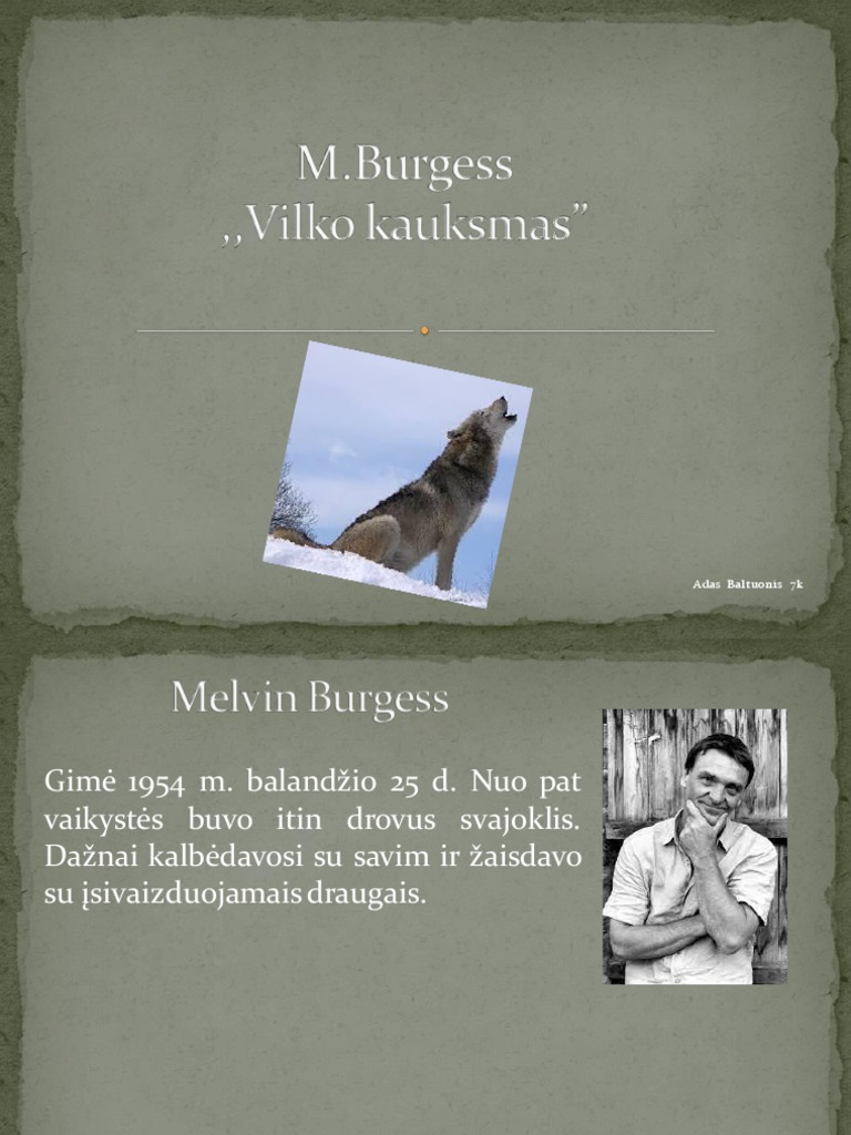 M. Burgess Vilko kauksmas [nemoku.lt] | PDF