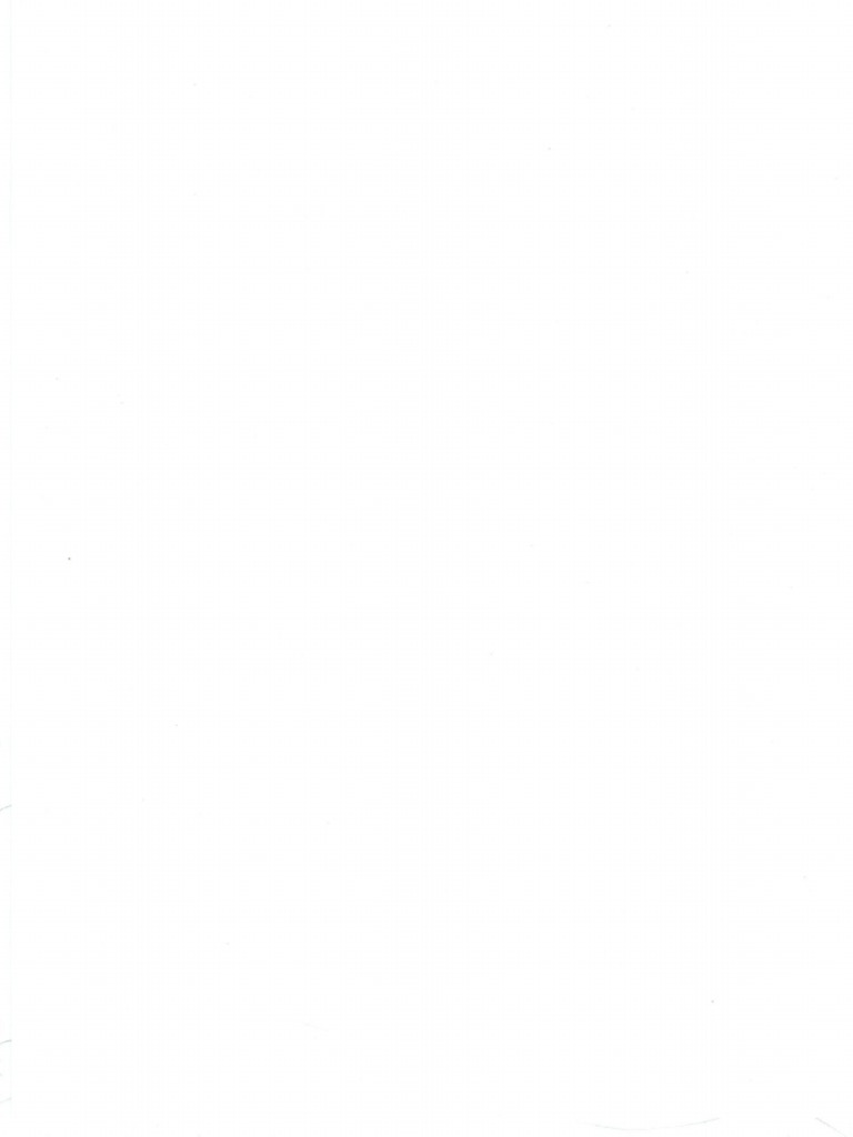 Hoja en Blanca | PDF