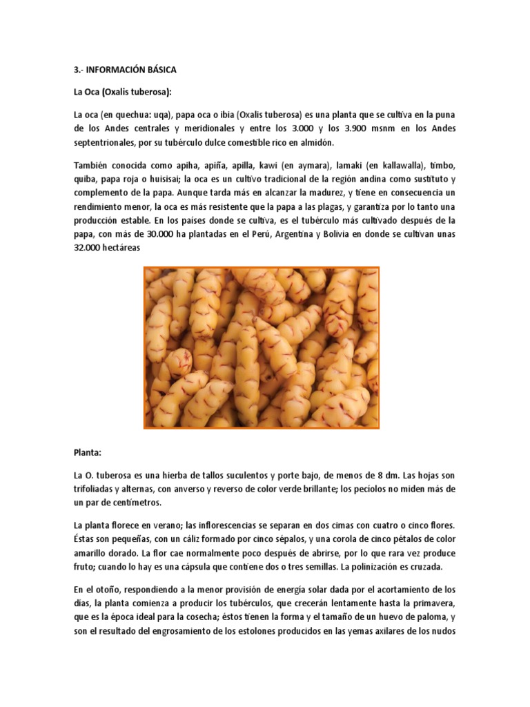 Informacion Basica La Oca | PDF
