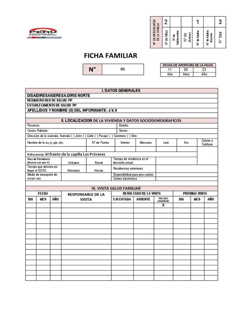 Ficha Familiar | Descargar gratis PDF | Familia | Matrimonio