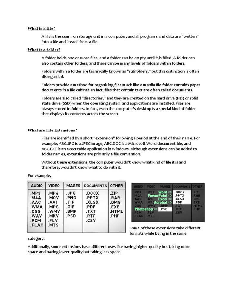 File Management | PDF | Computer File | Directory (Computing)