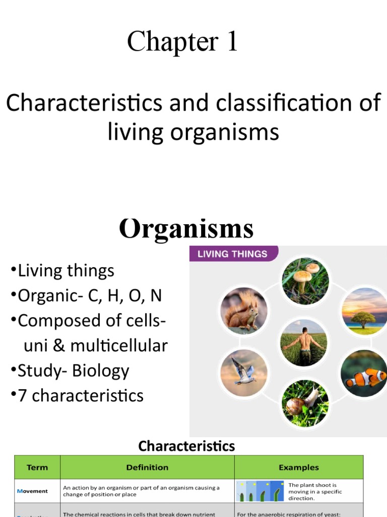 IG1 - Characteristics of Living Organisms | PDF