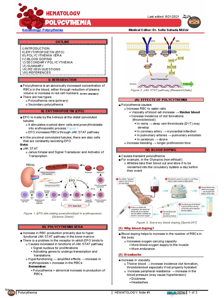 Understanding Polycythemia Types and Causes | PDF | Red Blood Cell ...