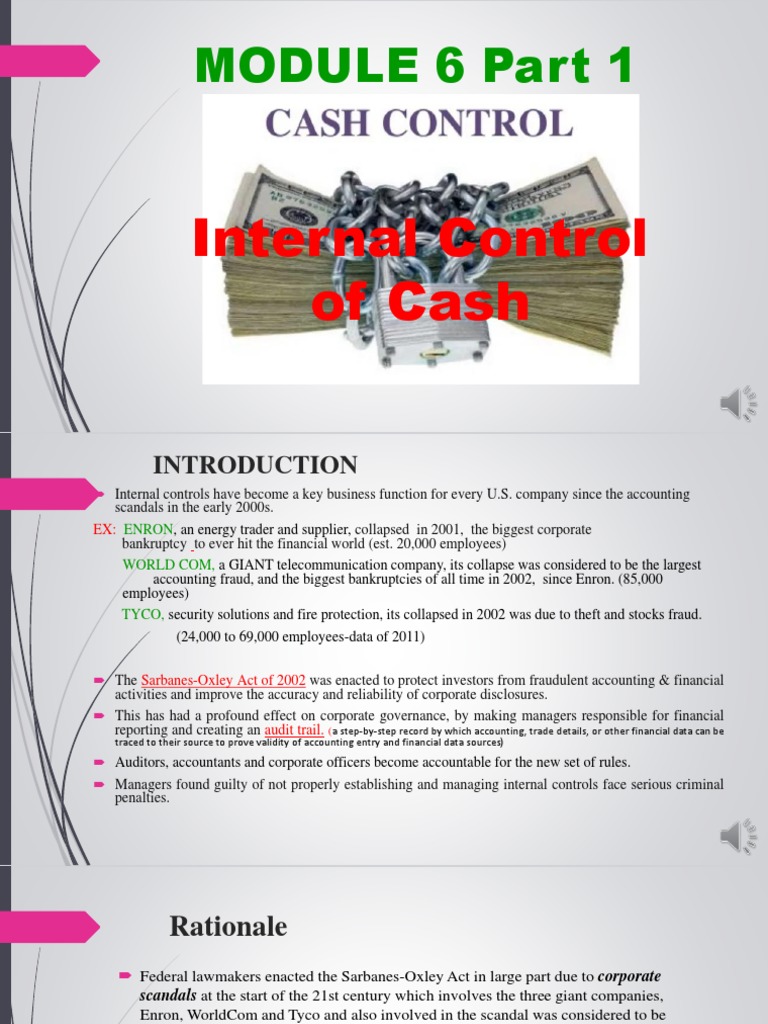 Module 6 Part 1 Internal Control | PDF | Internal Control | Cheque