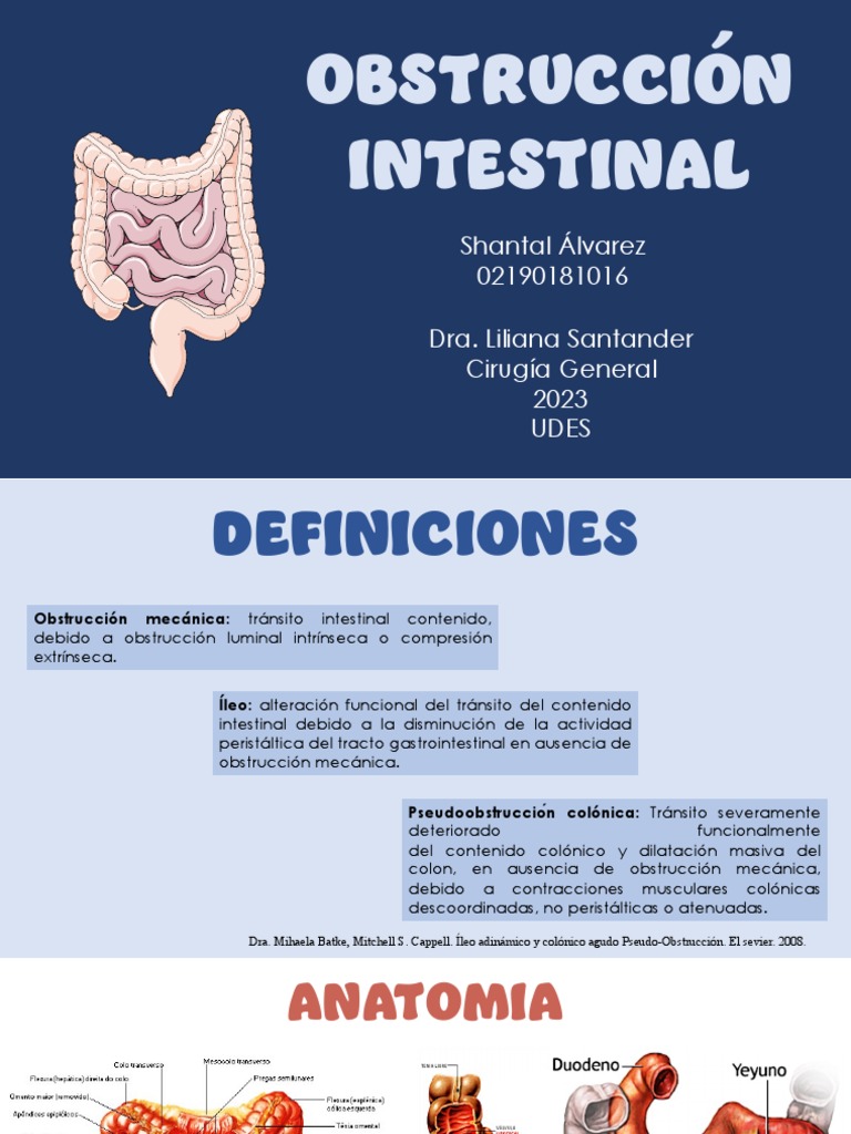 Causas y Clasificación de Obstrucción Intestinal | PDF | Causas de la ...