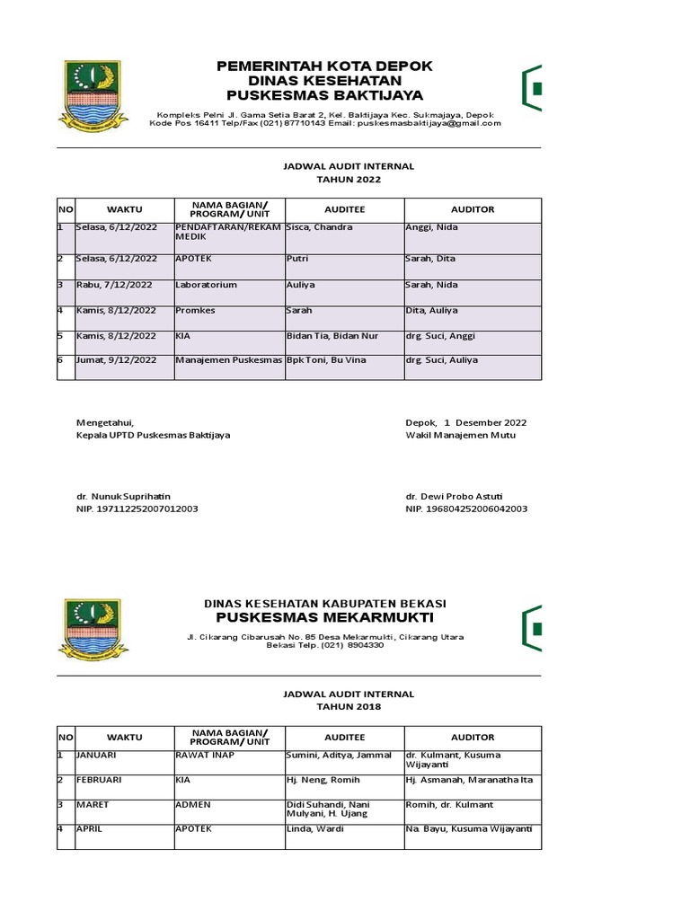 Instrumen Audit Internal | PDF