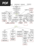 Pathway Gagal Ginjal Kronik dan WOC | PDF