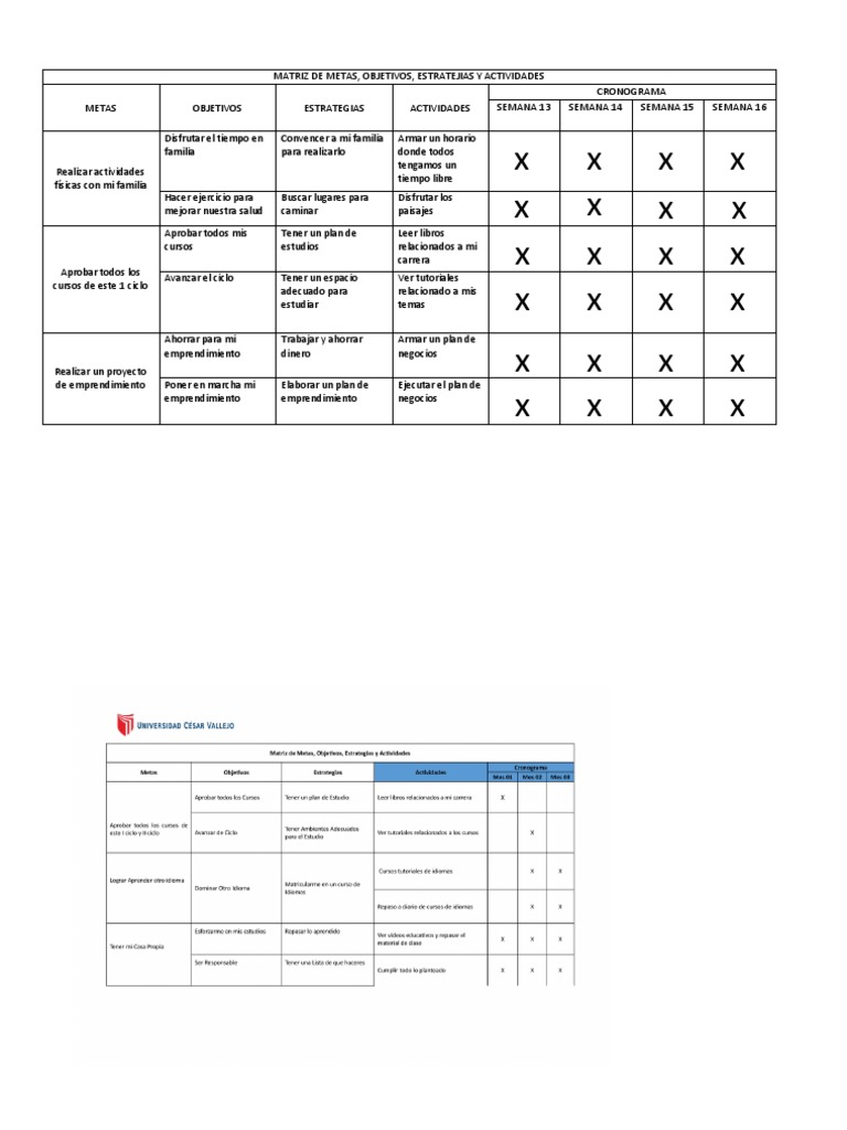Matriz de Metas | PDF | Iniciativa empresarial