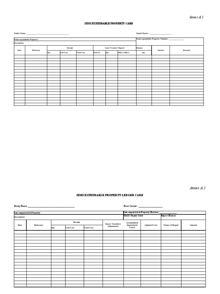 Semi-Expendable Property Management Forms | PDF