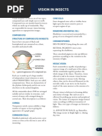 Asia Scale | PDF | Anatomical Terms Of Motion | Spinal Cord Injury