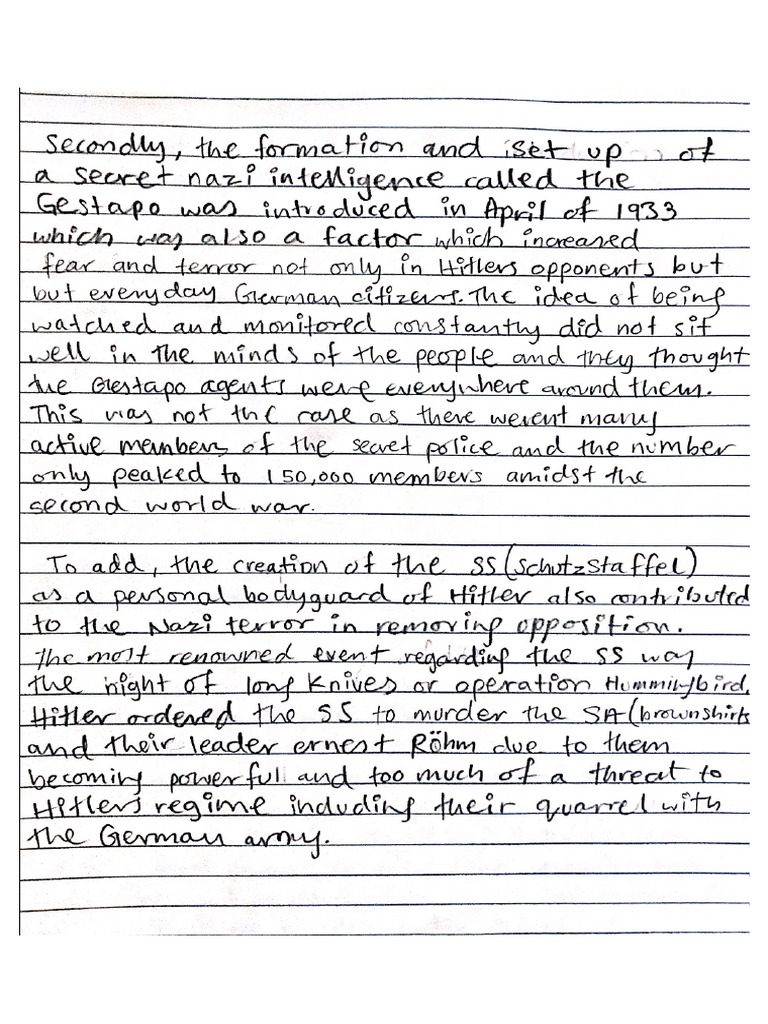 Terror Tactics by Hitler | PDF