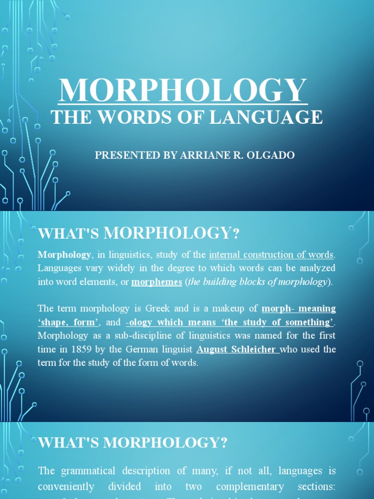 Morphology | PDF | Morphology (Linguistics) | Word