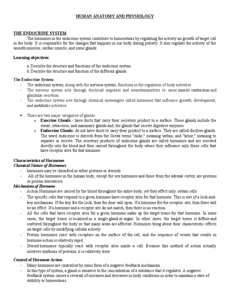 Human Anatomy and Physiology - The Endocrine System | PDF