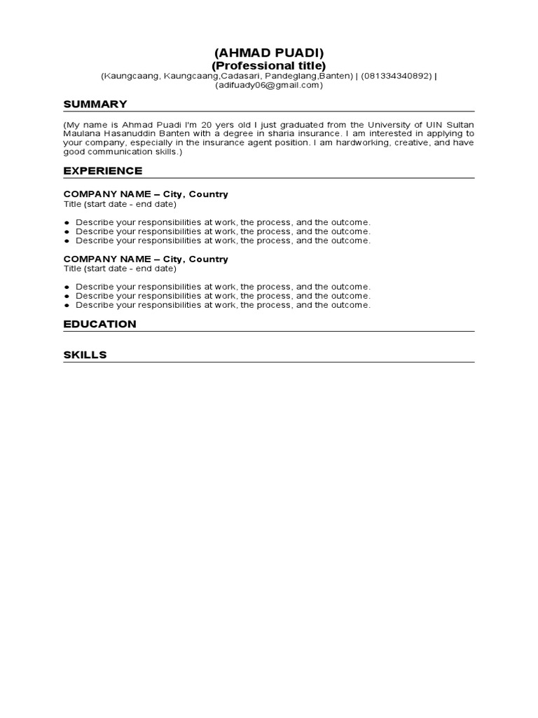 CV ATS Template | PDF