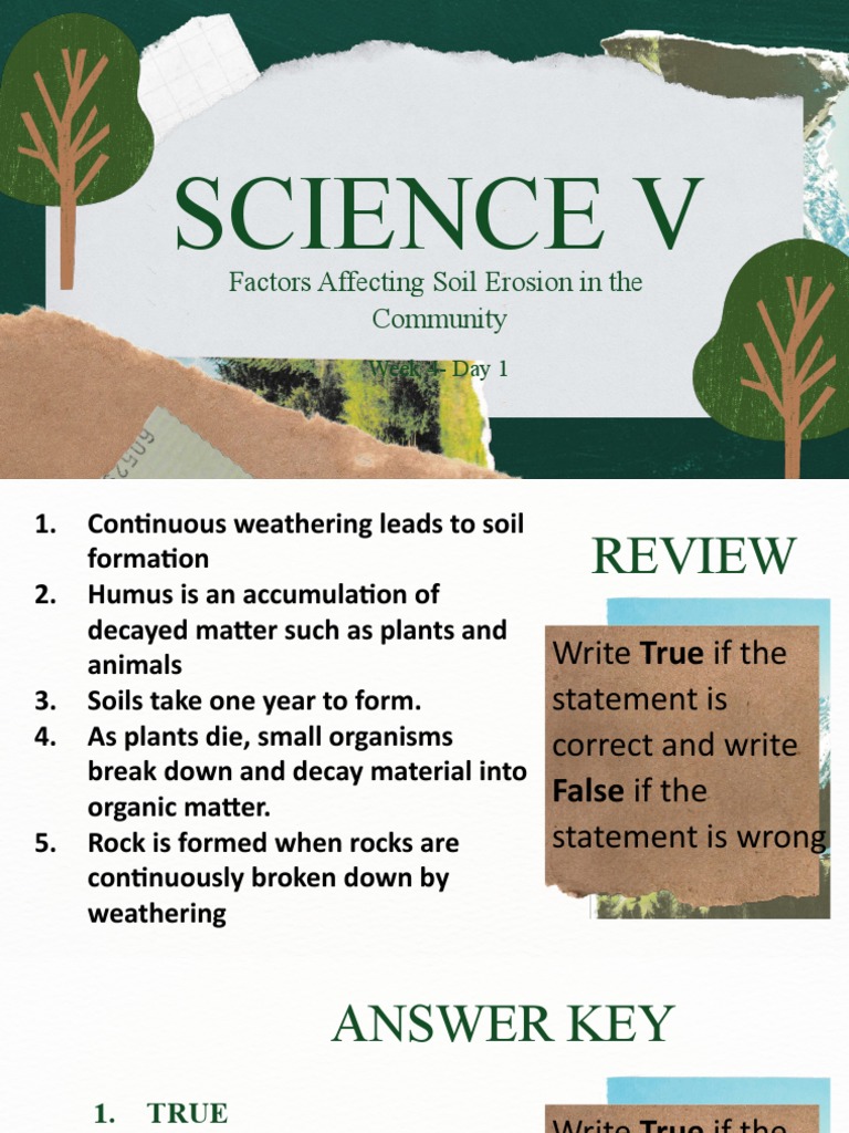 Impact of Soil Erosion on Ecosystems | PDF | Erosion | Soil