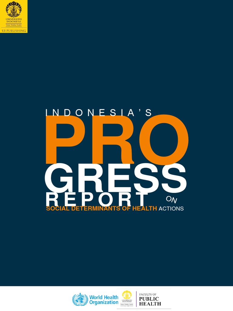 Report SDH 2023 | PDF