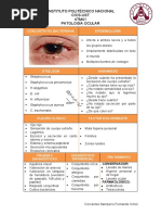 Exploración Vías Pupilares | PDF | Ojo humano | Neuroanatomía
