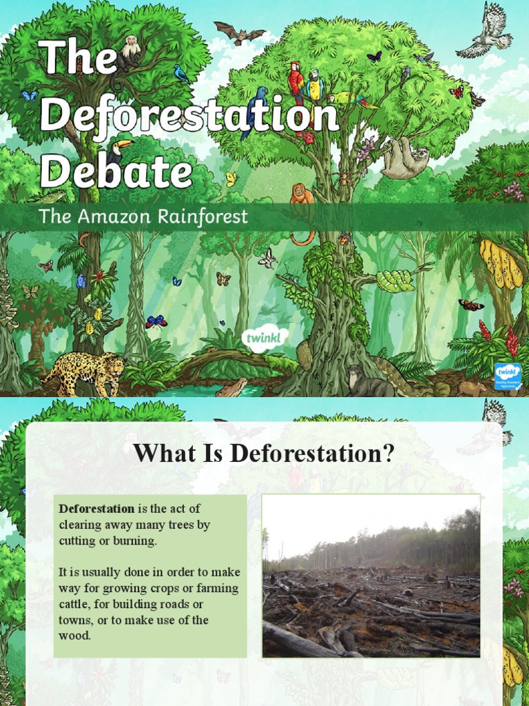 The Deforestation Debate PowerPoint | PDF