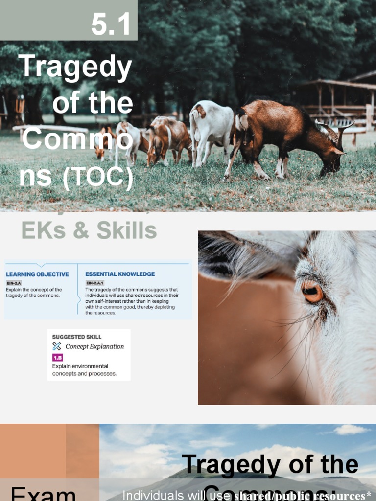 Unit 5 Land and Water Use | PDF | Agriculture | Soil