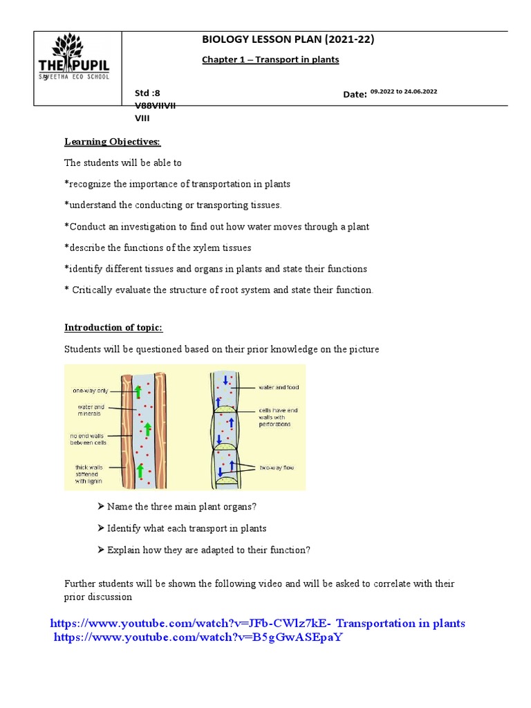 Plant Transport System for Grade 8 | PDF