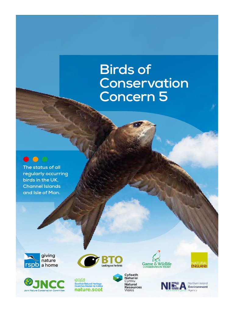 Birds of Conservation Concern 5 Report | PDF | Birds | Eurasia
