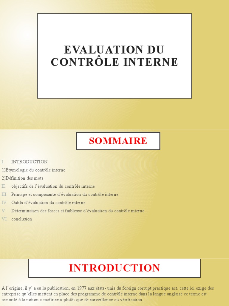 Evaluation Du Contrôle Interne | PDF