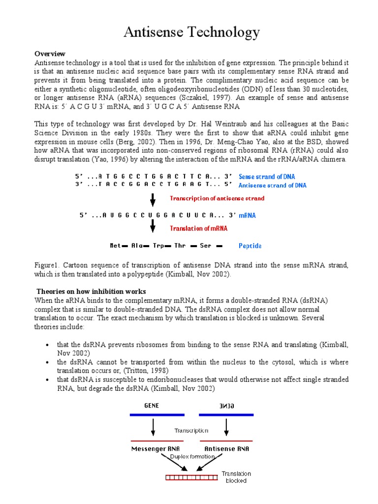A Antisense Technology 1 | PDF | Sense (Molecular Biology) | Rna ...