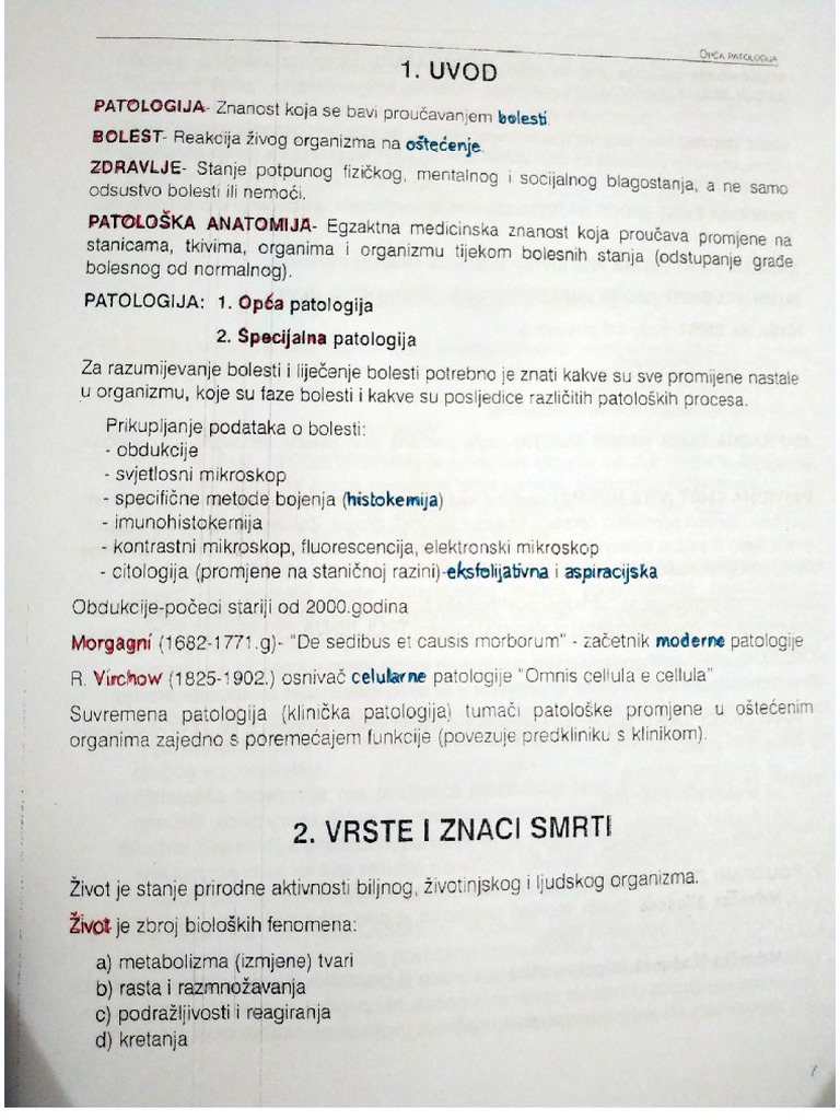 PATOLOGIJA - Glavna Skripta | PDF