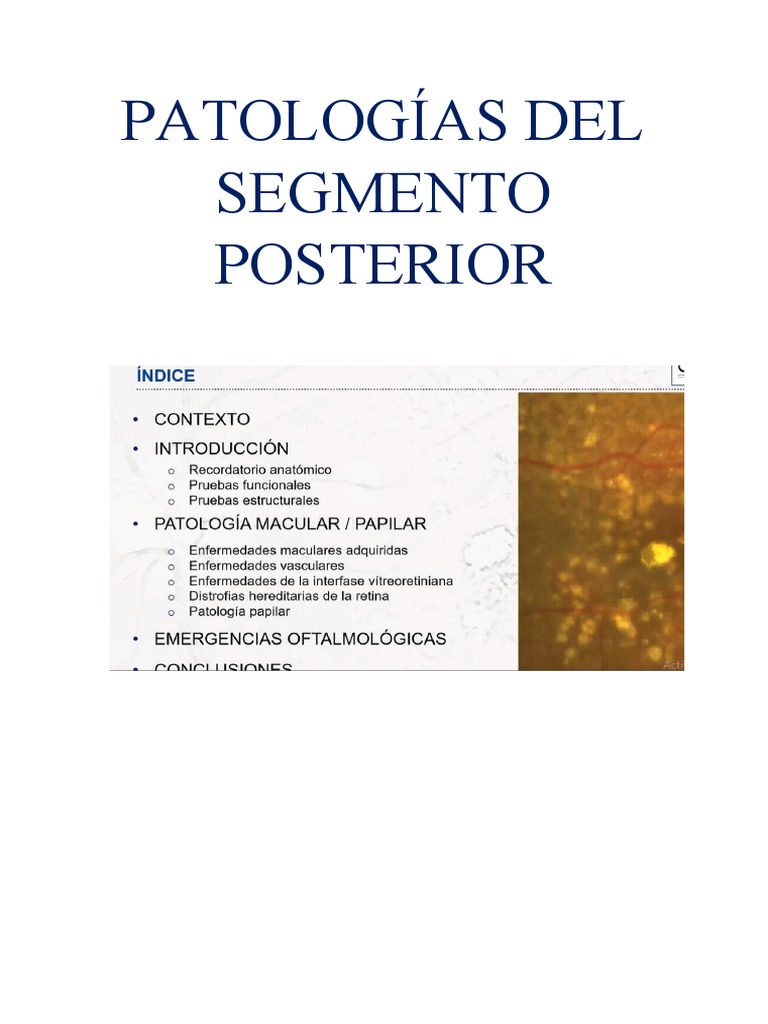 PATOLOGÍAS DEL SEGMENTO POSTERIOR | PDF