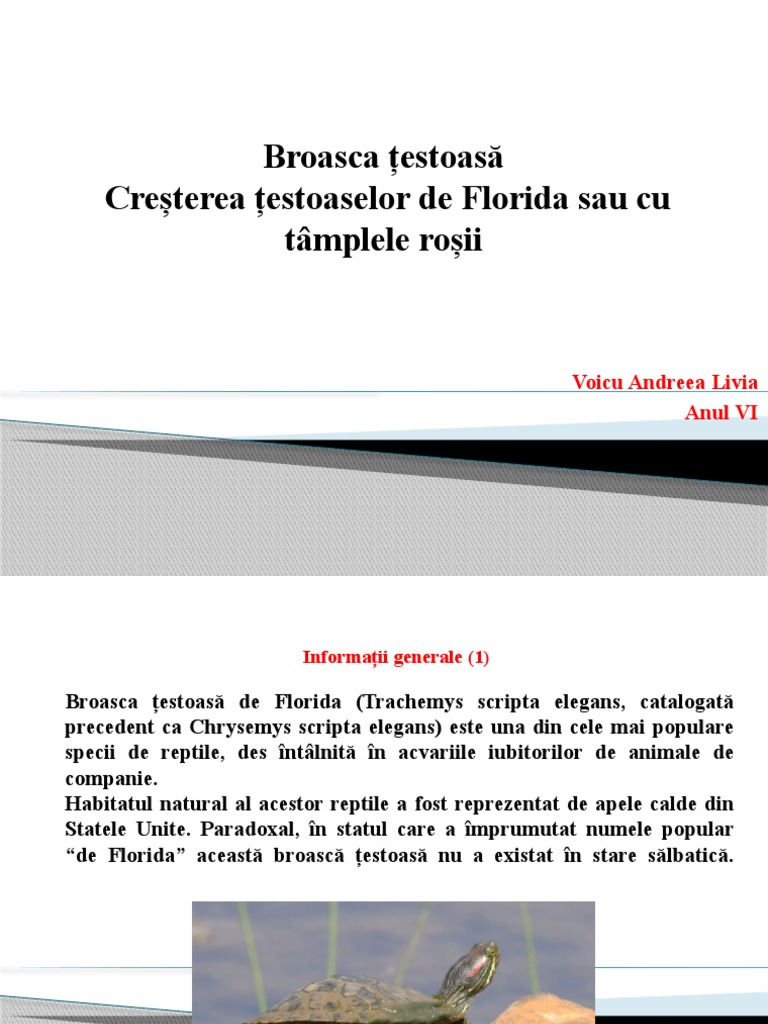 Voicu - Conditii de Intretinere Broasca Testoasa | PDF