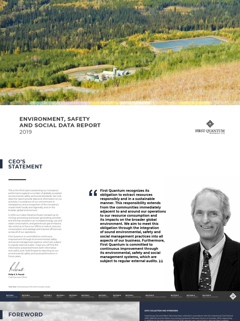 2019 Environment Safety Social Data Report Optimised | PDF | Renewable ...