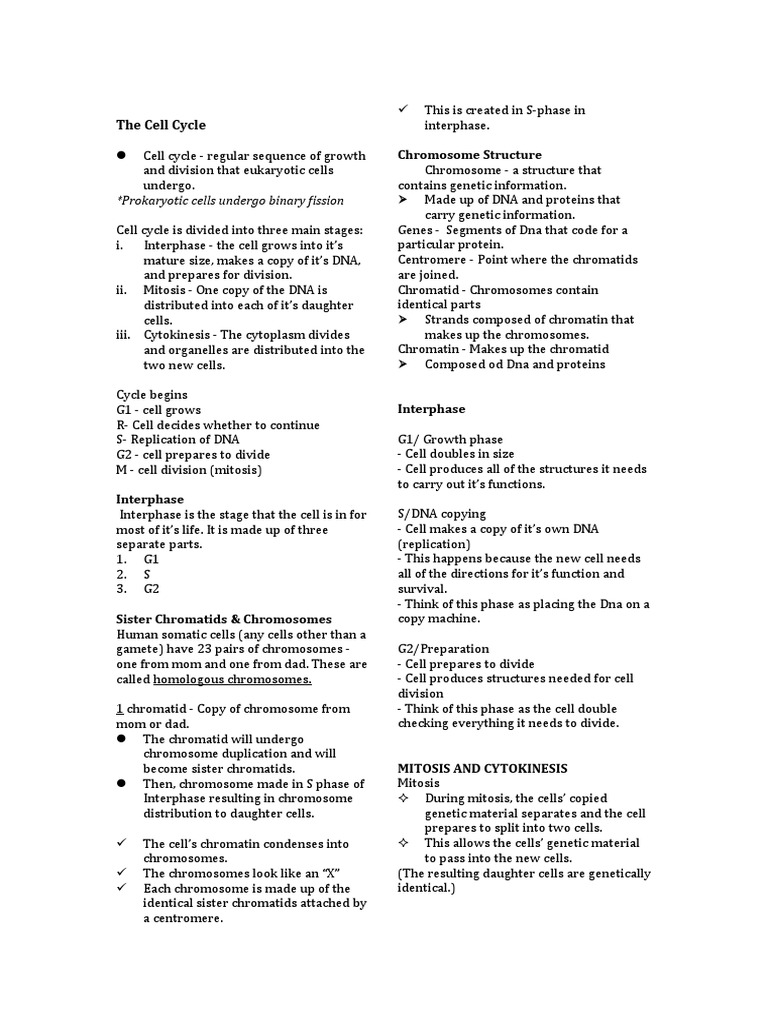 The Cell Cycle Reviewer | PDF | Mitosis | Chromosome