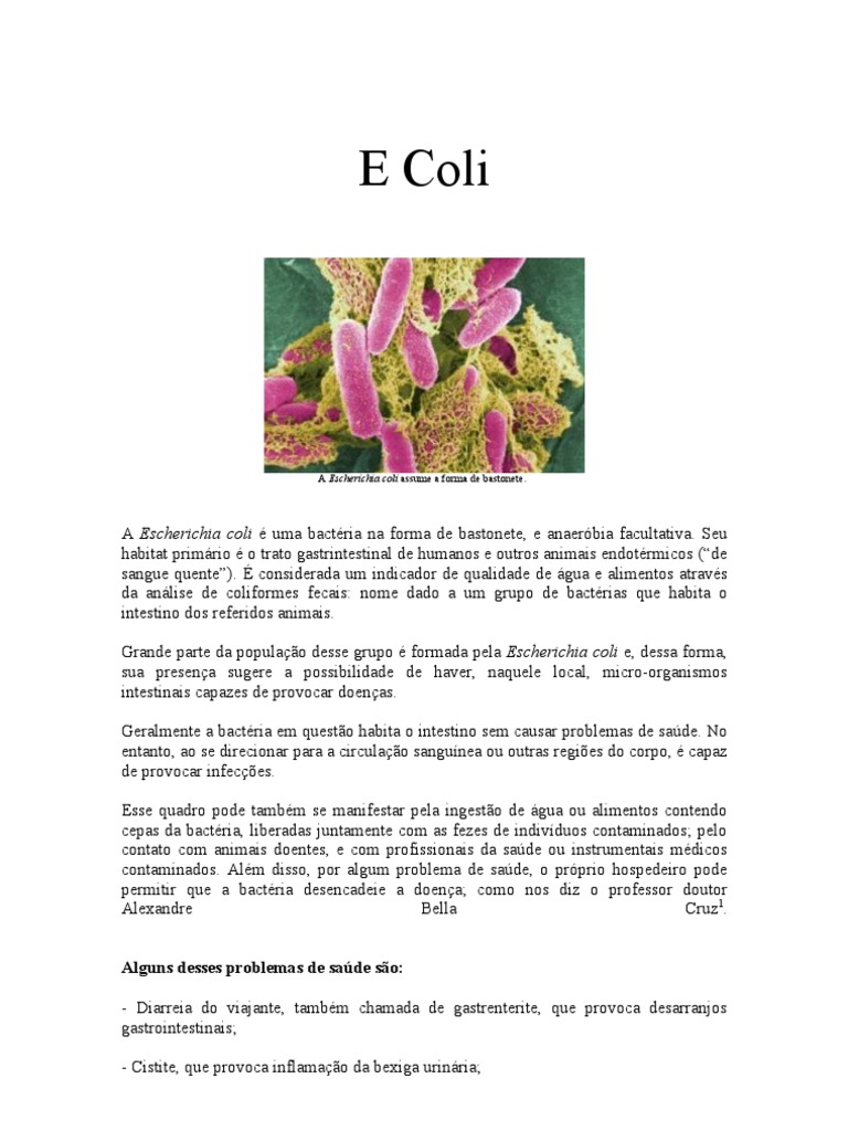 E Coli | PDF | Escherichia Coli | Bactérias
