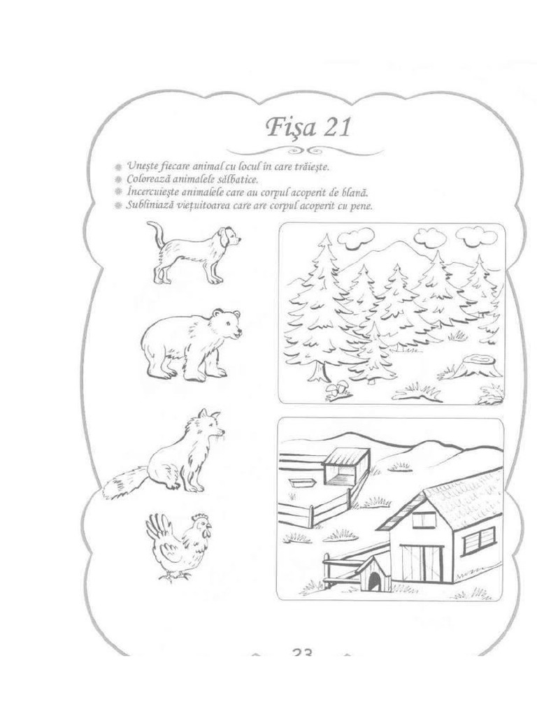 Fisa Animale | PDF