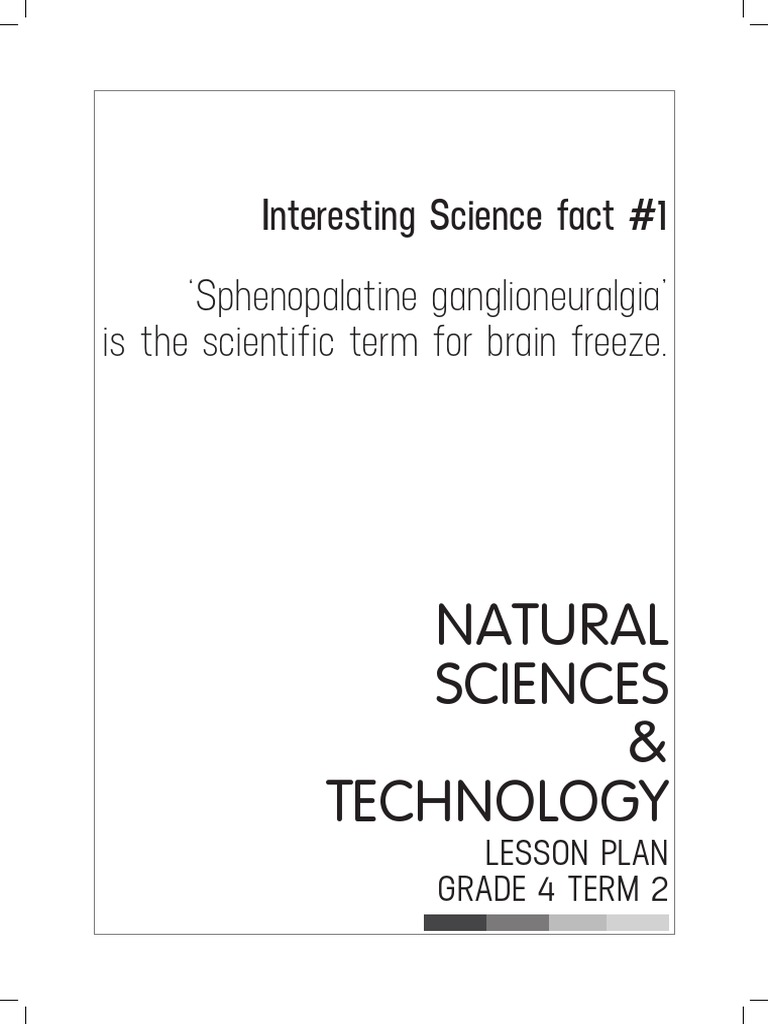 Grade 4 Natural Science Term 2 Plan | PDF