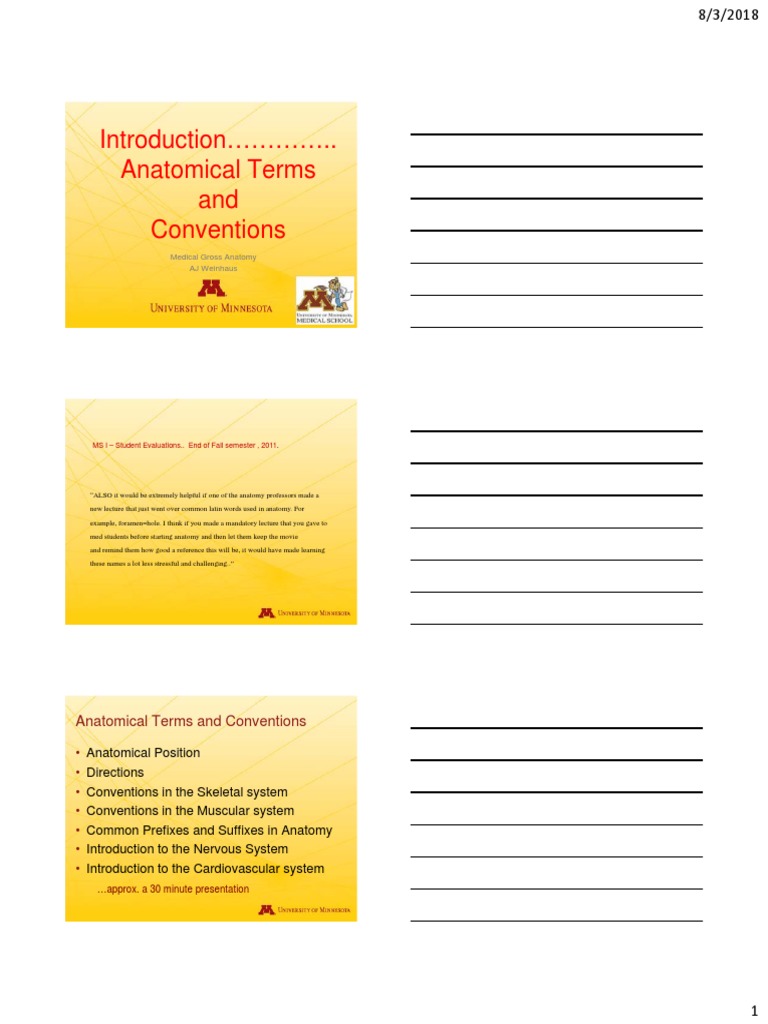Handout Introduction Anatomical Terms and Conventions 1 0 | PDF ...