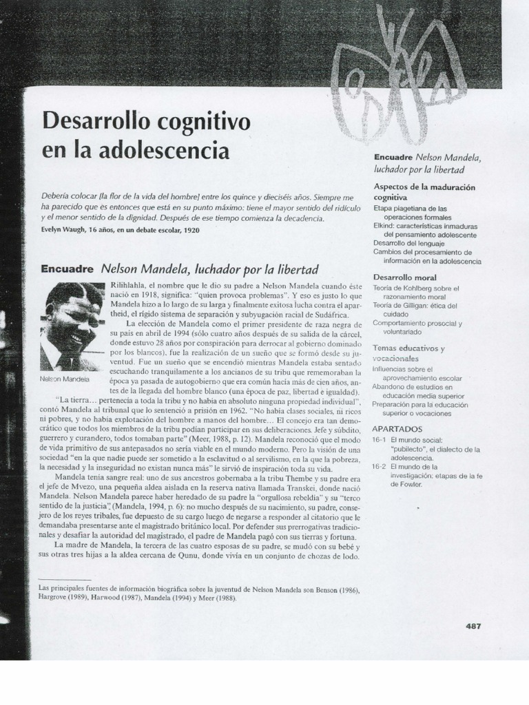 Desarrollo Cognitivo en La Adolescencia | PDF
