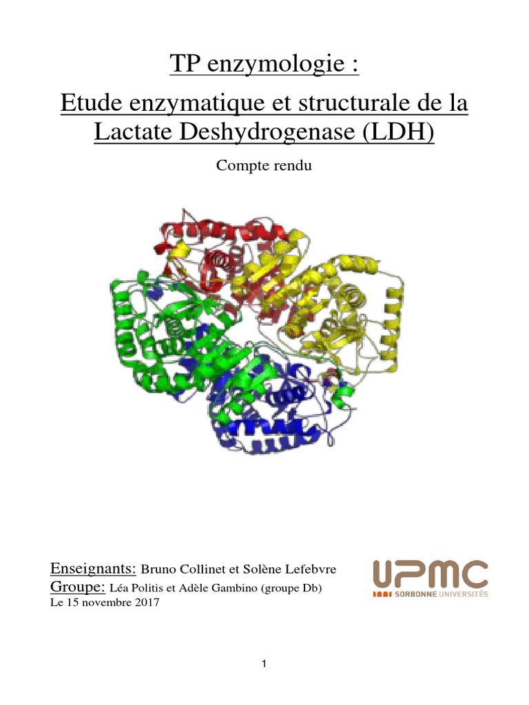 TP Enzymologie Comte Rendu Final | PDF | Enzyme | Lactate déshydrogénase