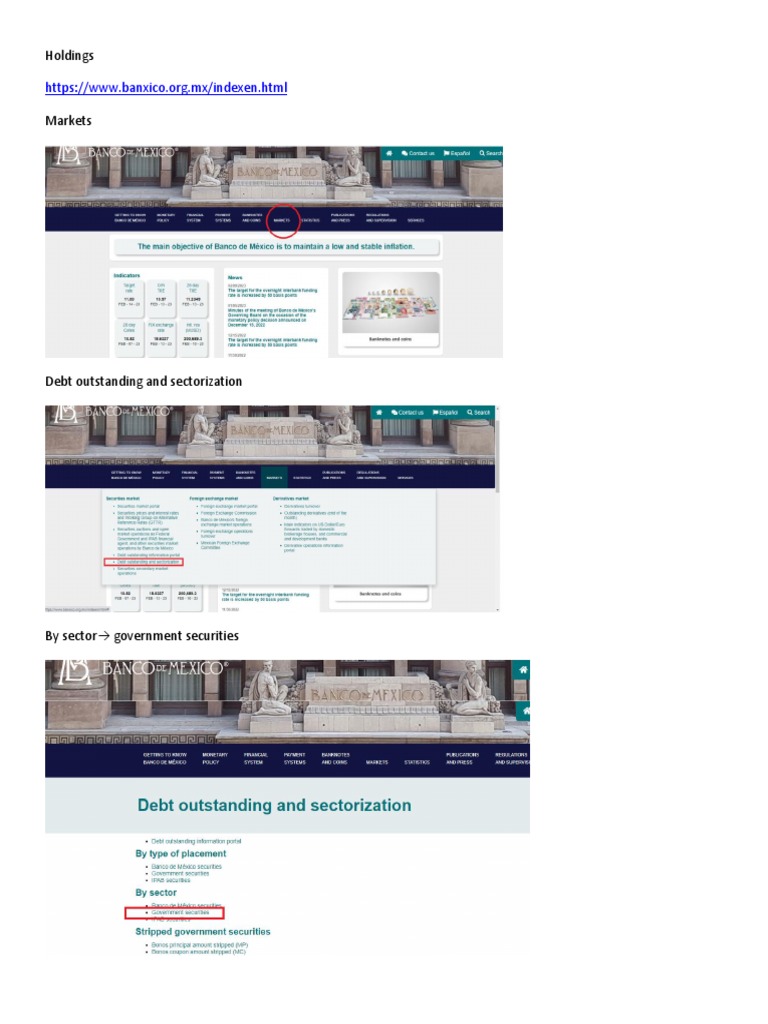 Guide - Banxico Holdings | PDF